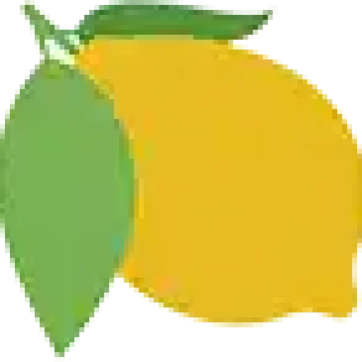 Meet the Team | Easy Lemon