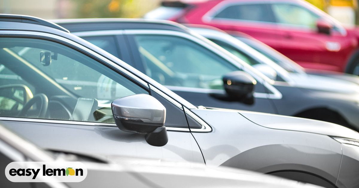 4 Lemon Law Case Examples | How to Win Your Claim